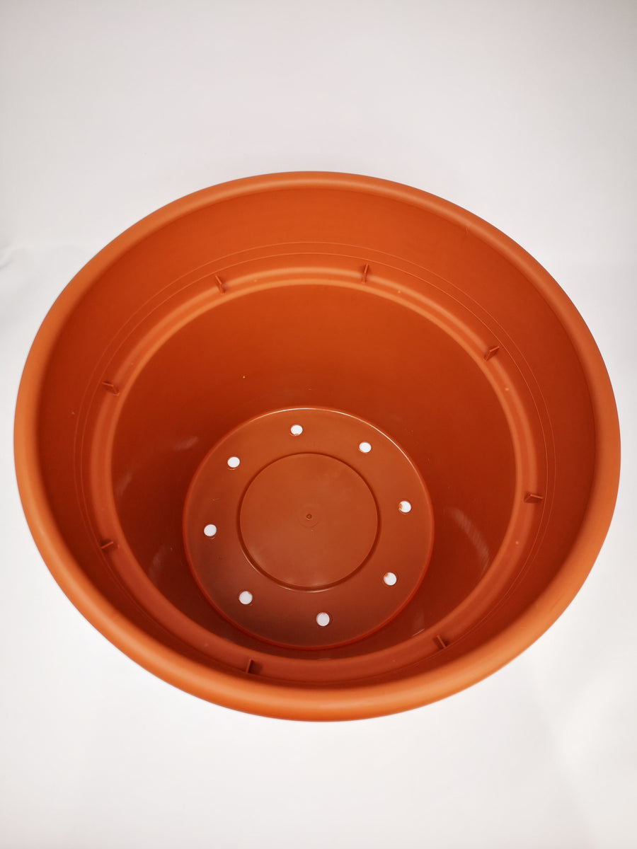 12" Terra Cotta Pot – The Greenery Garden Centre