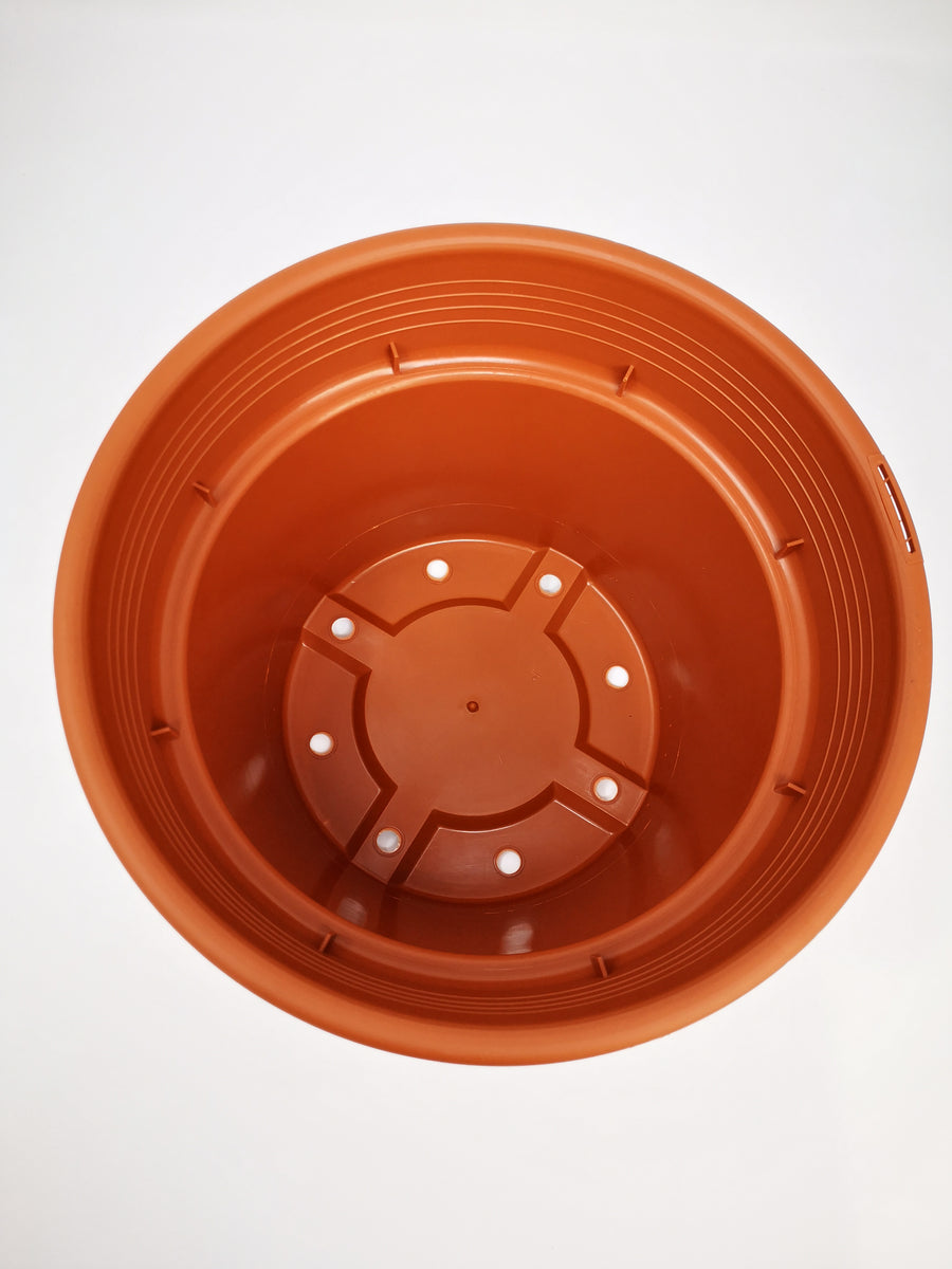 8" Terra Cotta Pot – The Greenery Garden Centre