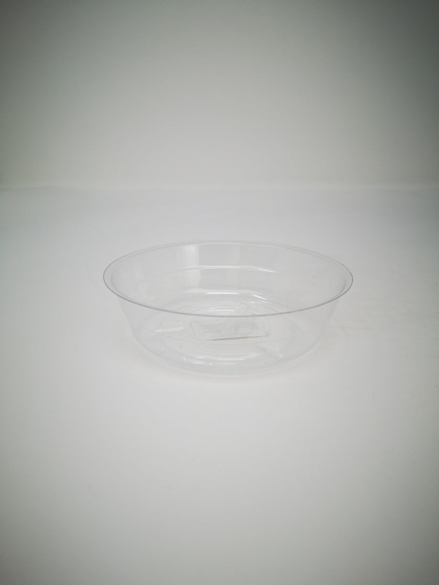 4" Clear Saucer Shallow – The Greenery Garden Centre