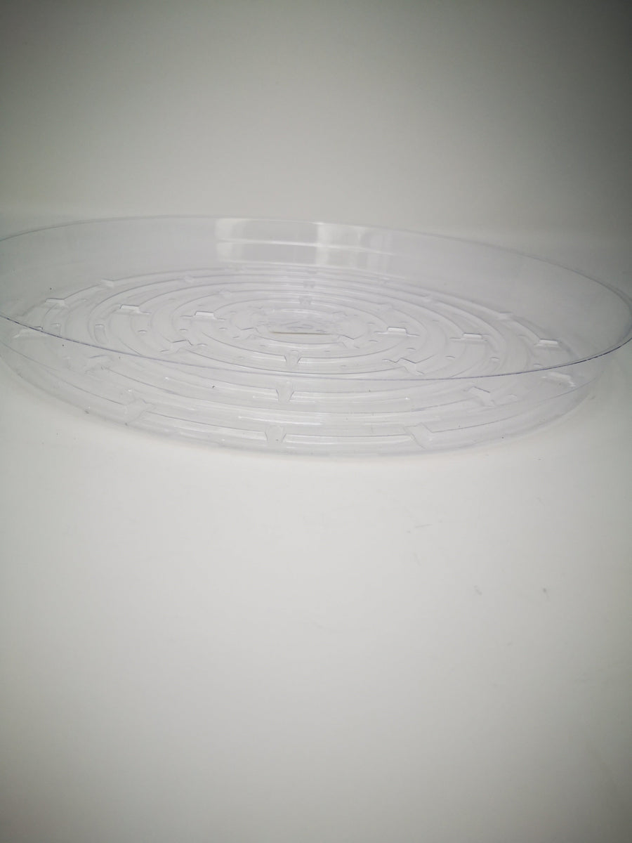 10” Clear Saucer Shallow – The Greenery Garden Centre