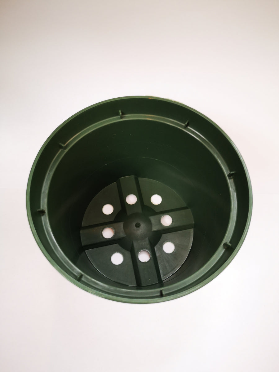 5" Green Round Pot – The Greenery Garden Centre